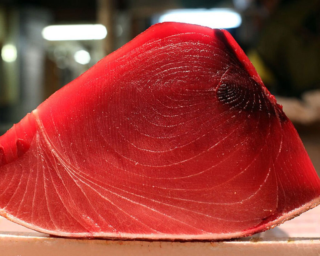 Grade #1 Sashimi Tuna: Quality Metrics, Grading History & Bluefin Cuts